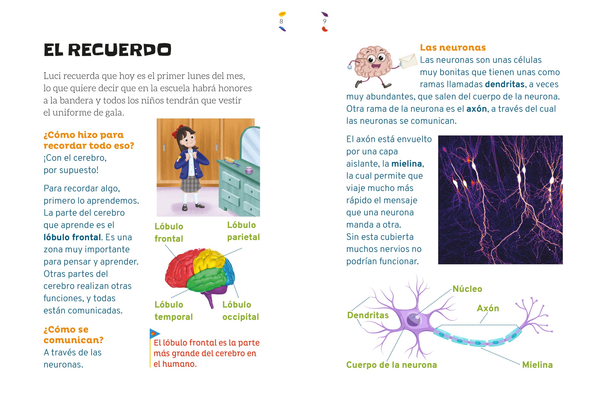 Mi cerebro y yo con Lucia y sus amigos – CIDclick